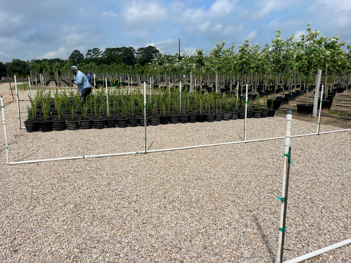 Foundation Support Repair - Tree Farm – RutGuard