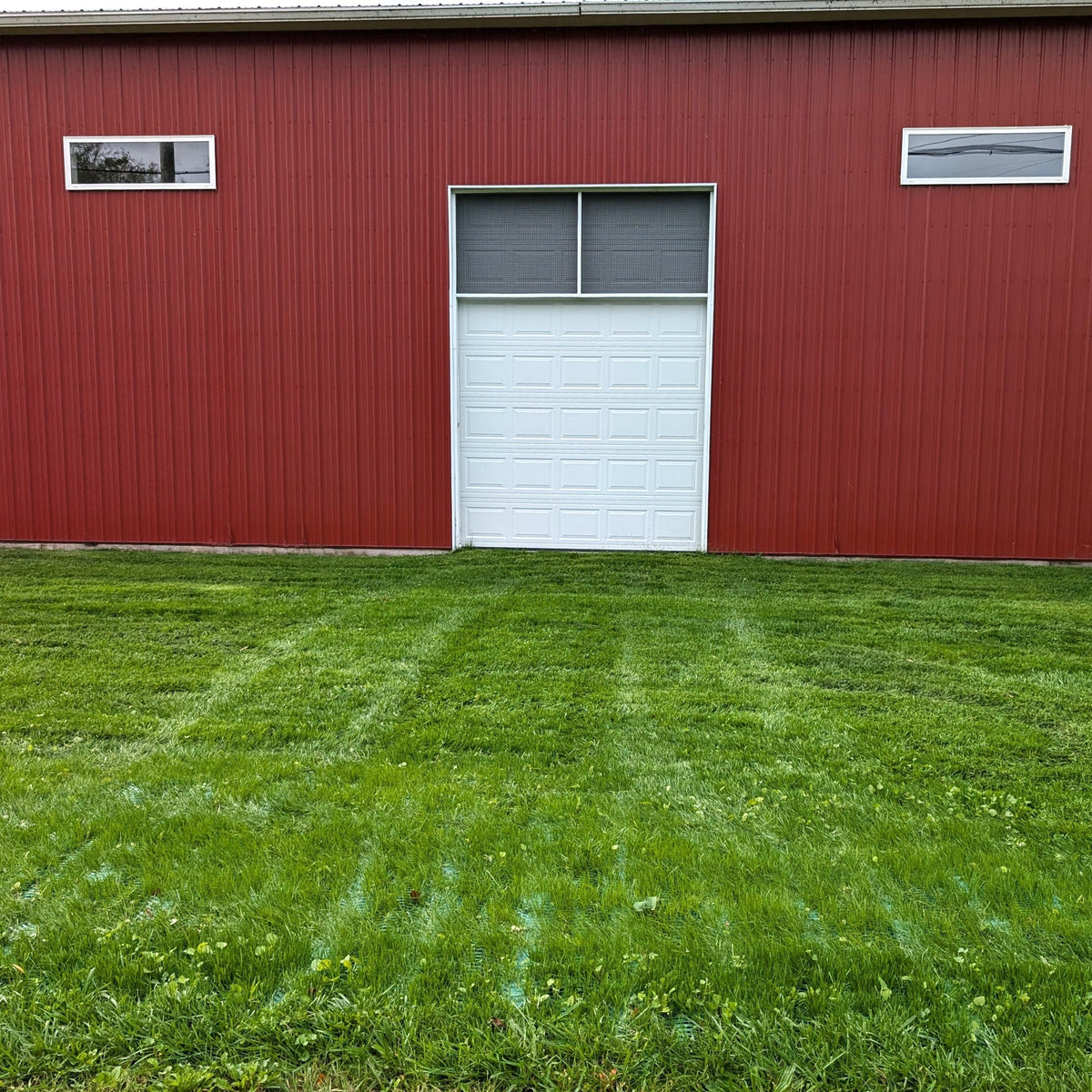 A Simple Solution for Protecting Your Grass | Grass Entrance Drive to ...