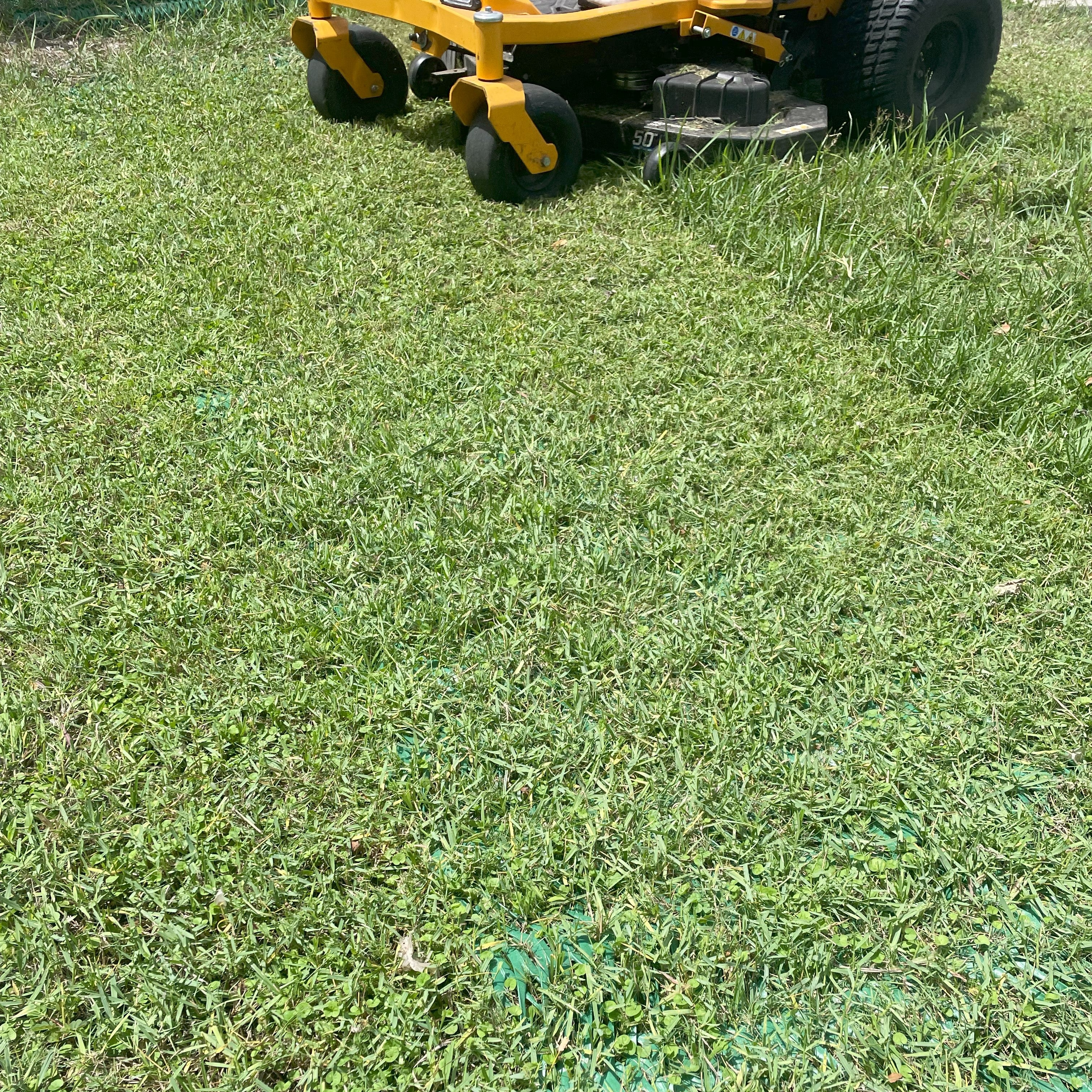 RutGuard Grass Protection Mesh - Standard Roll $1.73/sf - Reinforcemen