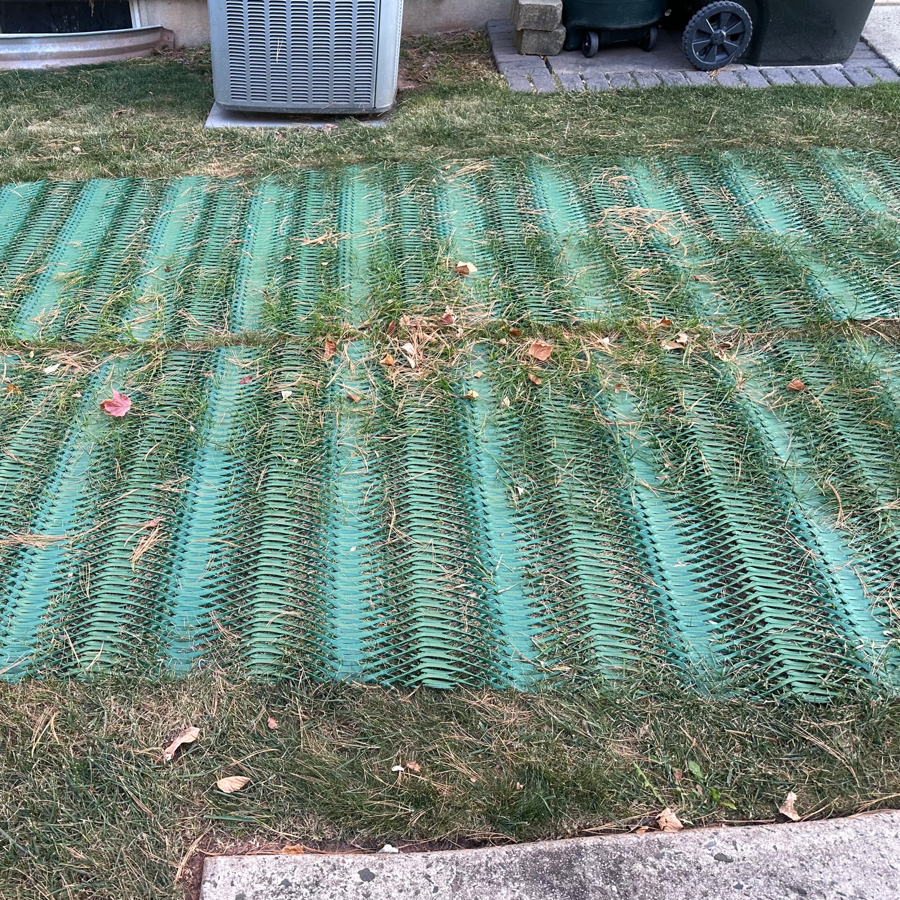 RutGuard Grass Protection Mesh - Standard Roll $1.73/sf - Reinforcemen