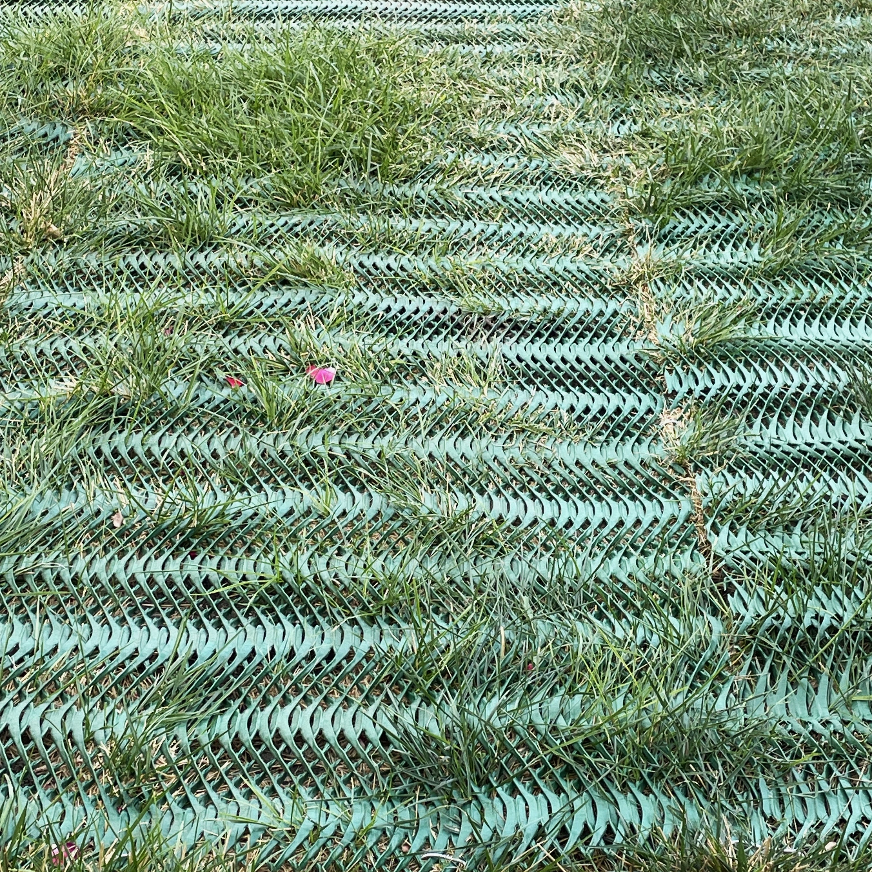 RutGuard Grass Protection Mesh - Standard Roll $1.73/sf - Reinforcemen