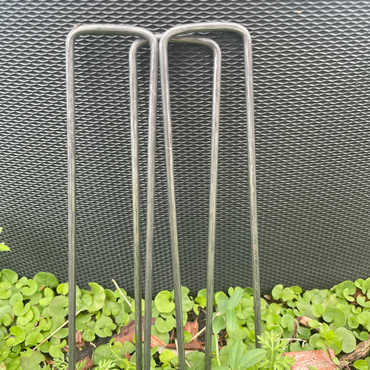 50 Pack of 6-Inch U-Shaped Landscape Sod Staples - Grass Protection Me ...